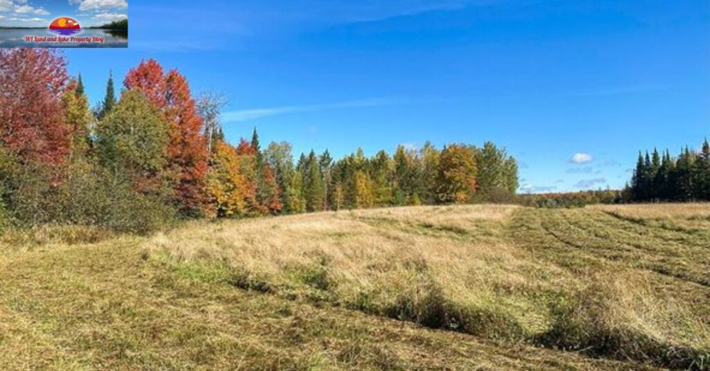 Your Guide to Owning 15 Acres in Northwestern Wisconsin for Just $65,900