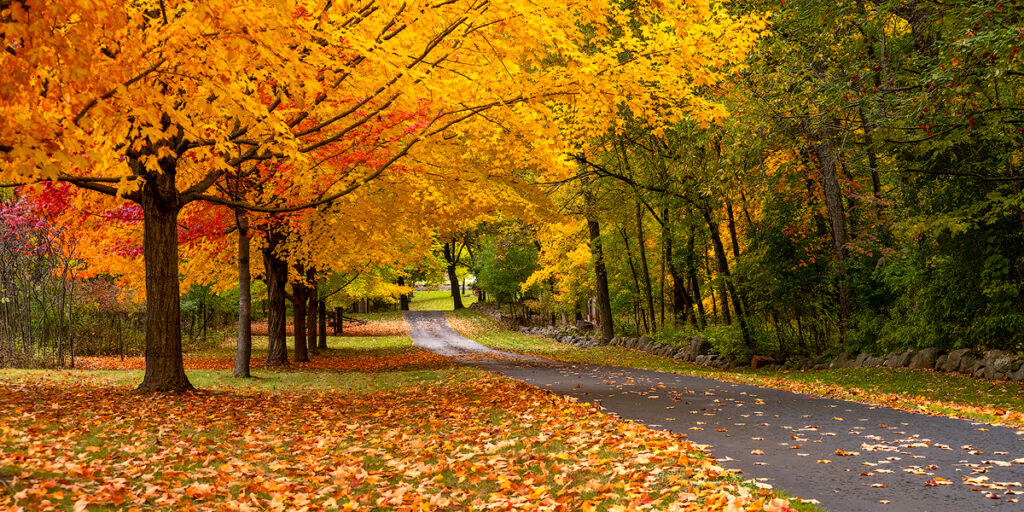 Where to See Fall Colors in Wisconsin This Year